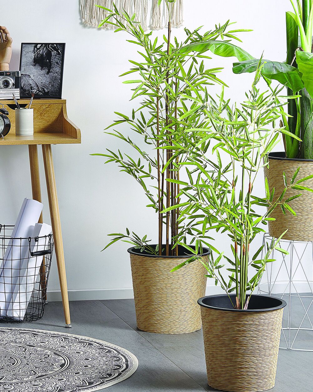 Pianta Artificiale "Bambù" da interno ed esterno con vaso, da h 183 cm ...
